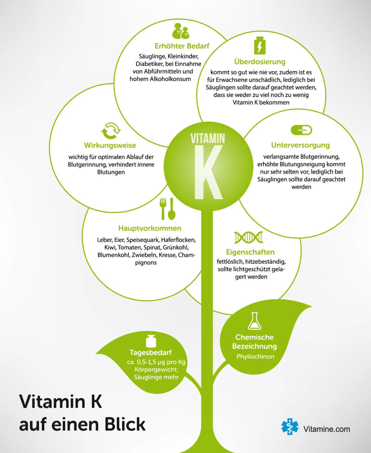 Vitamin K: Die Essenz für eine starke Gesundheit