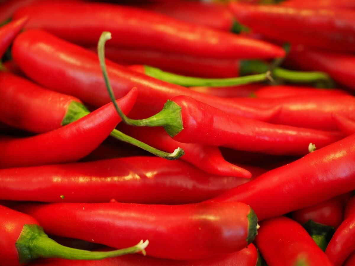 Chili: Stecken in den Früchten außer Schärfe auch Vitamine?